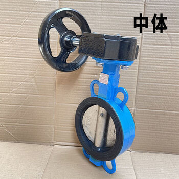 D371X-16涡轮蜗杆对夹式蝶阀 D371F-16手动涡轮四氟蝶阀DN100 150 （中体）涡轮对夹蝶阀 DN65【图片 价格 品牌 报价】-京东