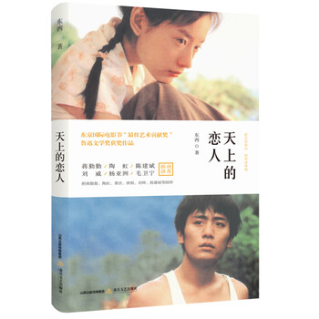 正版 天上的恋人9787537856805