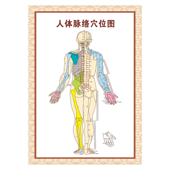 中医宣传画挂图中药配伍禁忌歌十八反十九畏歌脊柱图墙贴画WSA WSA36 人体脉络穴位图 80*60厘米 覆膜防水PP贴纸