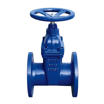 Z45X-16Q 球墨铸铁暗杆软密封闸阀 法兰弹性座封闸阀DN50 80 100 中型DN150【图片 价格 品牌 报价】-京东