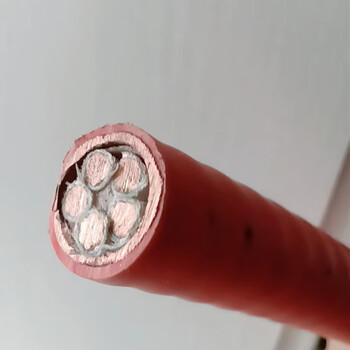 国标BTTRZ矿物质绝缘防火电缆YTTW铜芯BTLY隔离BBTRZ消防BTTZ电线 YTTW系列【图片 价格 品牌 报价】-京东