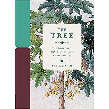 The Carlton百科系列：树进口原版 精装 生物学自然科学