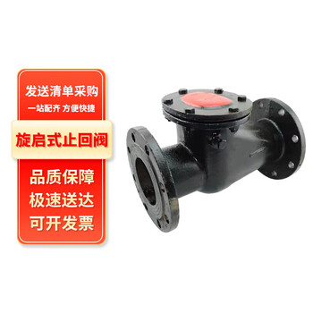 【腾掷DN50(2寸)】腾掷 H44T-16旋启式止回阀 灰铸铁法兰连接阀门规格可定制 DN100(4寸)【行情 报价 价格 评测】-京东