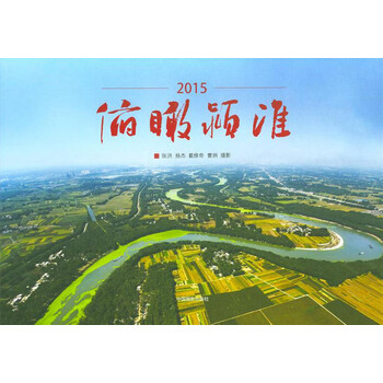 俯瞰颍淮（2015）