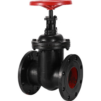 【HDN50】H 铸铁硬密封暗杆法兰闸阀Z45T-16手动铸铁闸板阀 DN200 【行情 报价 价格 评测】-京东