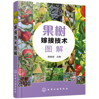 果树嫁接技术图解（双色印刷、图片丰富、实用）