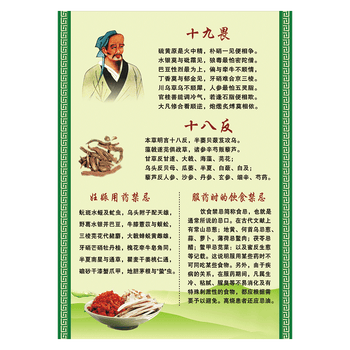 中药十八反歌十九畏歌挂图妊娠用药禁忌中医宣传画贴画WSA WSA49 十九畏十八反 60*40厘米