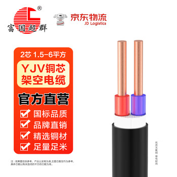 富国超群电线电缆线YJV2芯3芯4芯5芯1.5平方2.5平方4平方国标铜芯硬丝架空新能源充电桩电缆 2*2.5平方 1件1米，10米起售【图片 价格 品牌 报价】-京东