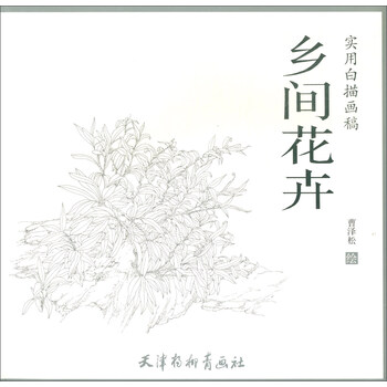 乡间花卉/实用白描画稿