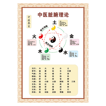 中医宣传画挂图中药配伍禁忌歌十八反十九畏歌脊柱图墙贴画WSA WSA35 中医脏腑理论 100*70厘米 覆膜防水PP贴纸