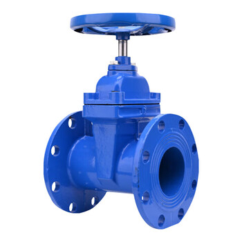 【寻程软密封闸阀Z45X-16暗杆】寻程 软密封闸阀Z45X-16暗杆 软密封闸阀 单位：个 DN65 【行情 报价 价格 评测】-京东