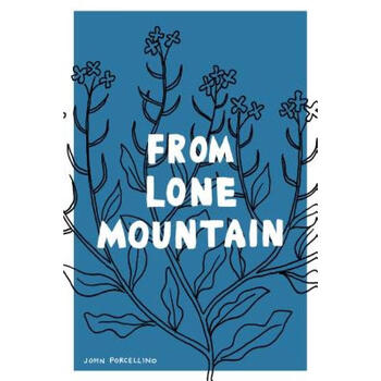 From Lone Mountain