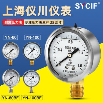 仪川（SYCIF）Y-60BF/1不锈钢压力表氮气0-2.5MPaΦ60螺纹M14*1.5径向/个【图片 价格 品牌 报价】-京东