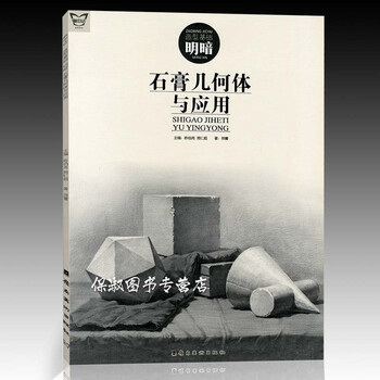造型基础明暗石膏几何体与应用 2017画中话邢蕾 每幅作品都有对应的步骤图素描零基础入门教程书单个组
