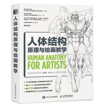 画画的春哥人体结构原理与绘画教学 艺用人体人体结构基础教程解剖伯里曼游戏动漫人体造型手绘漫画 绘画艺