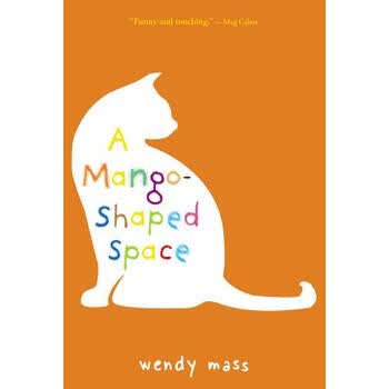英文原版 芒果猫 施耐德家族小说奖 儿童文学 A Mango-Shaped Space