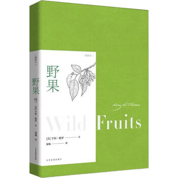 野果 插图本