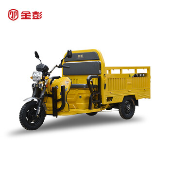 【金彭JP1500DZH-4】金彭途霸160电动三轮车拉货电瓶车货车农用高端电动车载货货运快递三轮车家用车裸车（不带电池）定制【行情 报价 价格 评测】-京东