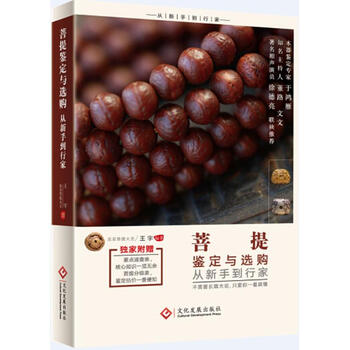 菩提鉴定与选购从新手到行家