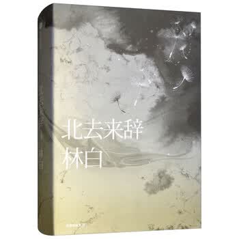北去来辞 林白 著 中信出版社