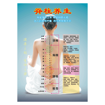 中医宣传画挂图中药配伍禁忌歌十八反十九畏歌脊柱图墙贴画WSA WSA38 脊柱养生 60*40厘米 覆膜防水PP贴纸