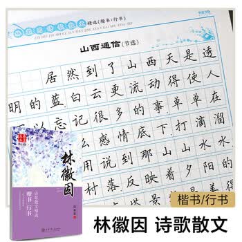 田英章书楷书字帖行书大学生成年正楷体手写临摹本硬笔练字帖 楷书行书-林微因