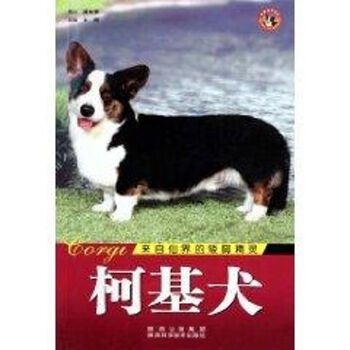 世界名犬-柯基犬王晓 