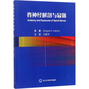 脊神经解剖与显露