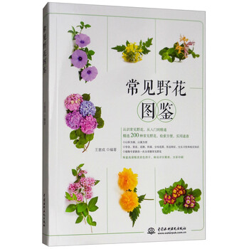 常见野花图鉴 专家王意成植物科普，家门口的自然课