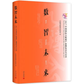 数智未来大数据战略重点实验室 编 