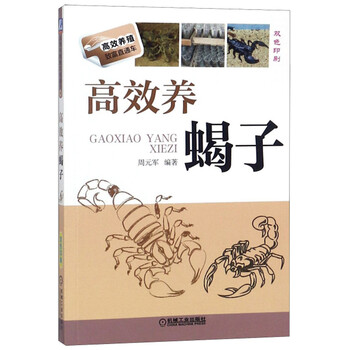 高效养蝎子（双色印刷）/高效养殖致富直通车