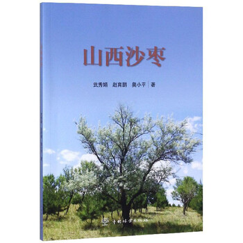 山西沙枣