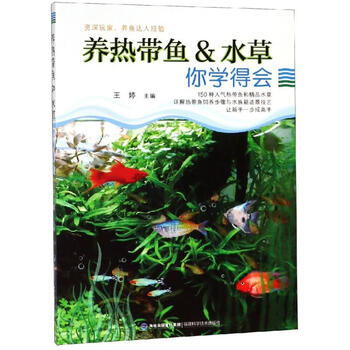 养热带鱼水草你学得会