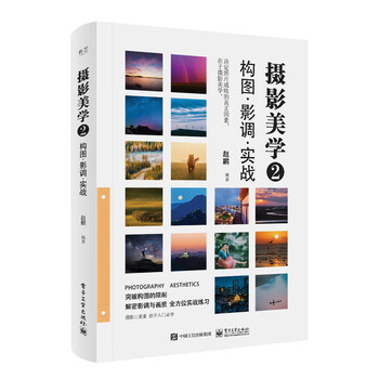 摄影美学2：构图·影调·实战（全彩）