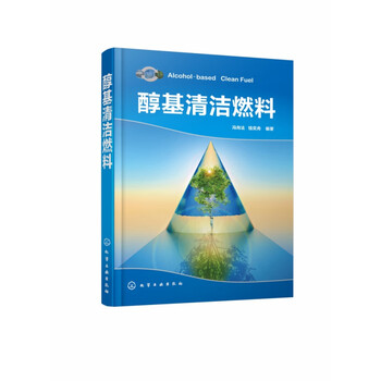 醇基清洁燃料