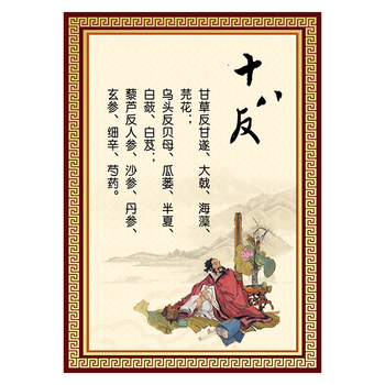 医院中医文化科室挂图海报黄帝内经素问十八反十九畏宣传画展板墙贴画WSH46 WSH46-03 十八反 40*30厘米 覆膜防水PP贴纸