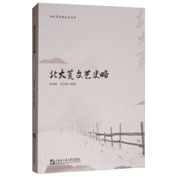 北大荒文艺史略/北大荒历史文化丛书