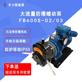 齐力大流量传输蠕动泵高精度防爆蠕动泵带变频器调节FB600-02 03 FB600S-02/03+YZ35(铝)【图片 价格 品牌 报价】-京东