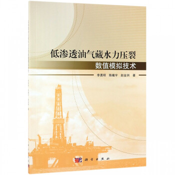 低渗透油气藏水力压裂数值模拟技术
