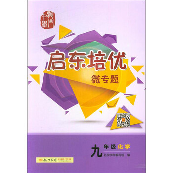 启东培优微专题：九年级化学