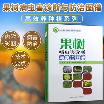 果树病虫害诊断与防治图谱 柑橘葡萄樱桃苹果梨杏荔枝等高效种植与病虫害防治技术书籍 农资果园管理书籍