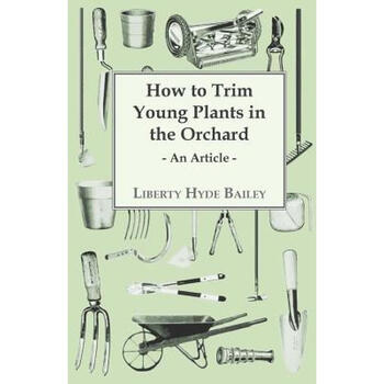 How to Trim Young Plants in the Orchard - An...