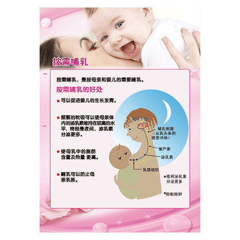 医院妇产科宣传画海报母乳喂养知识挂图24小时母婴同室墙贴画覆膜贴纸OFH17 OFH17-02 按需哺育 40*30厘米 覆膜防水PP贴纸