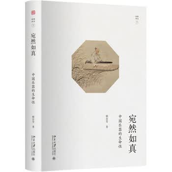 宛然如真 中国乐器的生命性 幽雅阅读