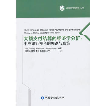 大额支付结算的经济学分析：中央银行视角的理论与政策