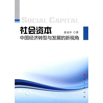社会资本:中国经济转型与发展的新视角 经济 书籍