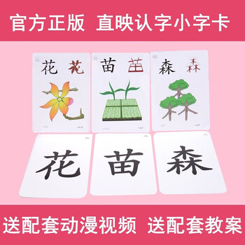 直映认字正版教材卡片有图识字1500字幼儿童早教启蒙认字卡0-3-6岁全脑记忆学龄前儿童象形识字拼音 大班直映识字卡1-6册1494字30环