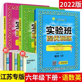 小学实验班提优训练六年级练习册 下册 人教语文+苏教数学+译林英语3本
