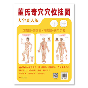 穴位图 挂图 董氏奇穴穴位挂图