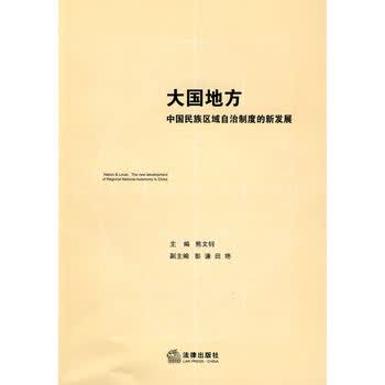 大国地方中国民族区域自治制度的新发展